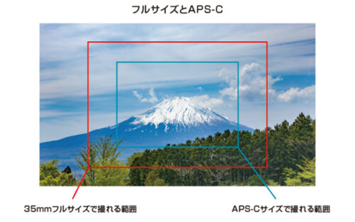 【後悔しないカメラ選び】フルサイズとAPS-Cの違いやメリット・デメリットを初心者向けに解説 | PHOTO TRIP